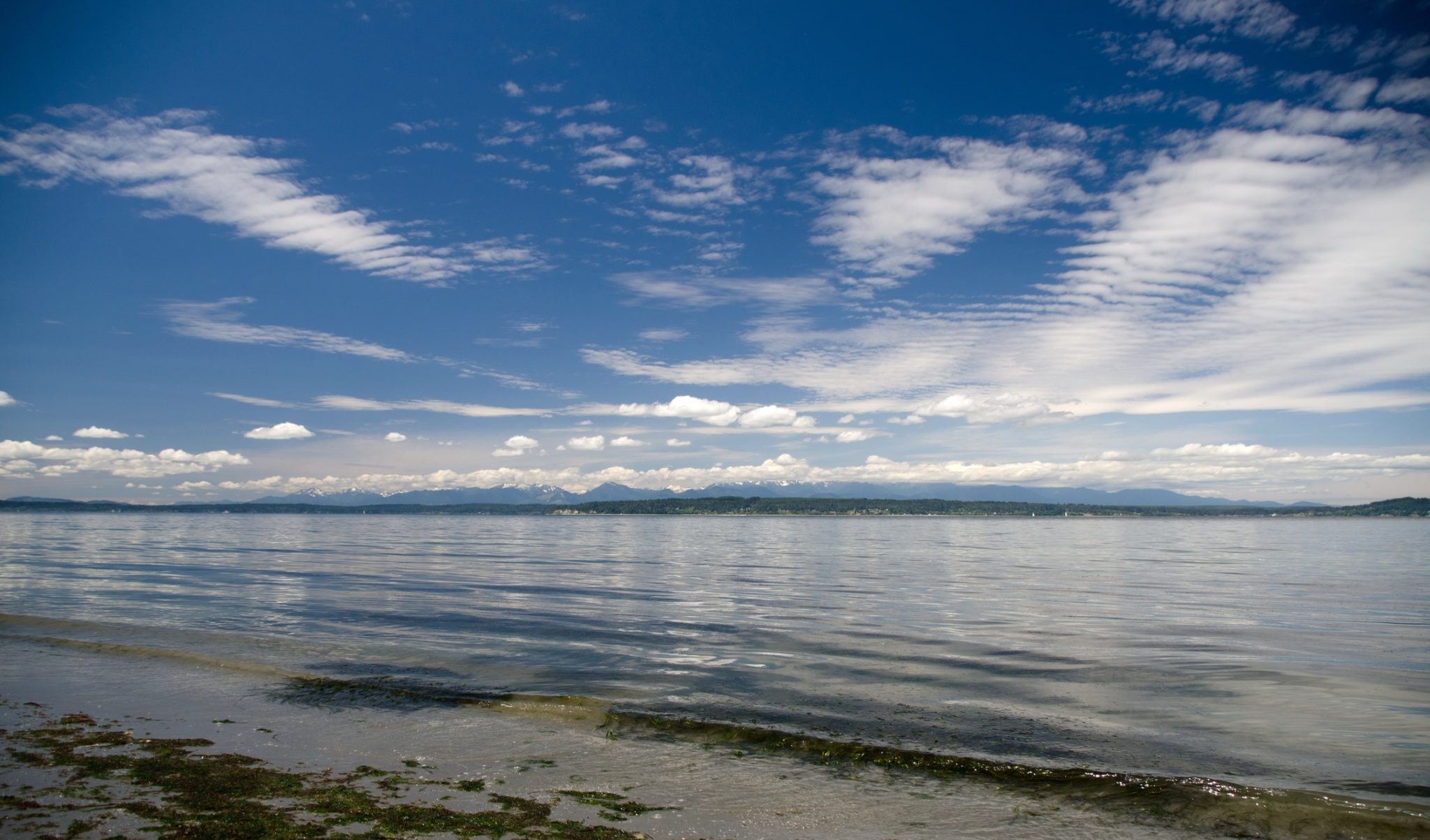 Top Attractions on Vashon-Maury Island
