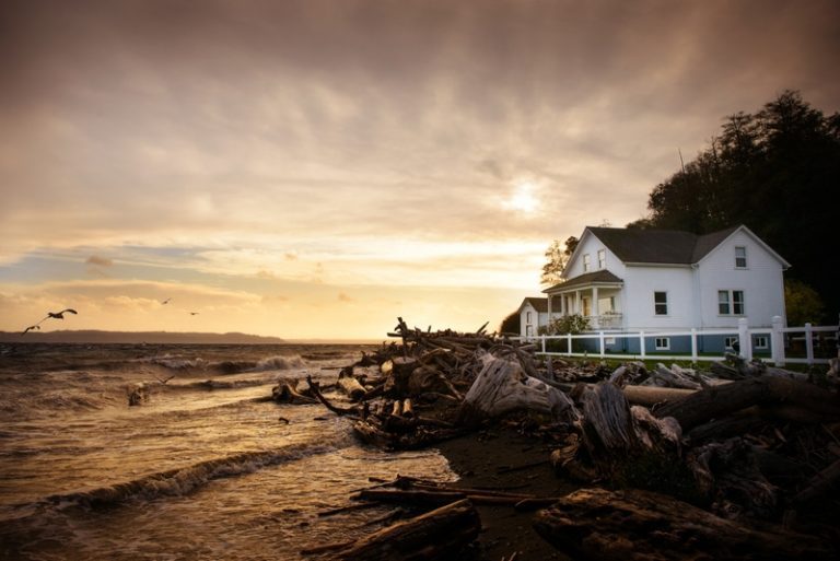 Explore essential Vashon activities with our visitor's guide to the island