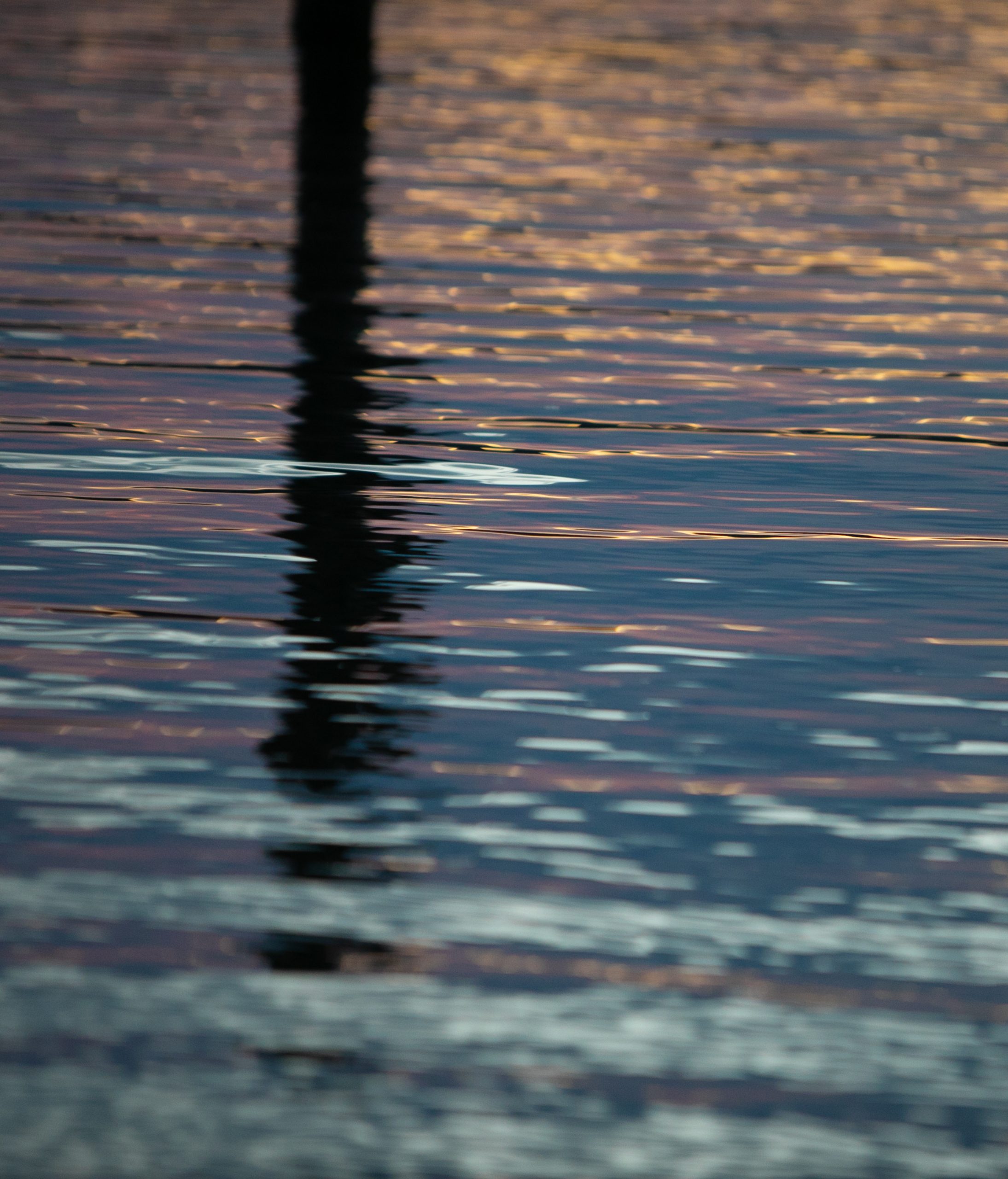 James Beard Award-winning chef’s passion for Vashon Island | Vashon ...